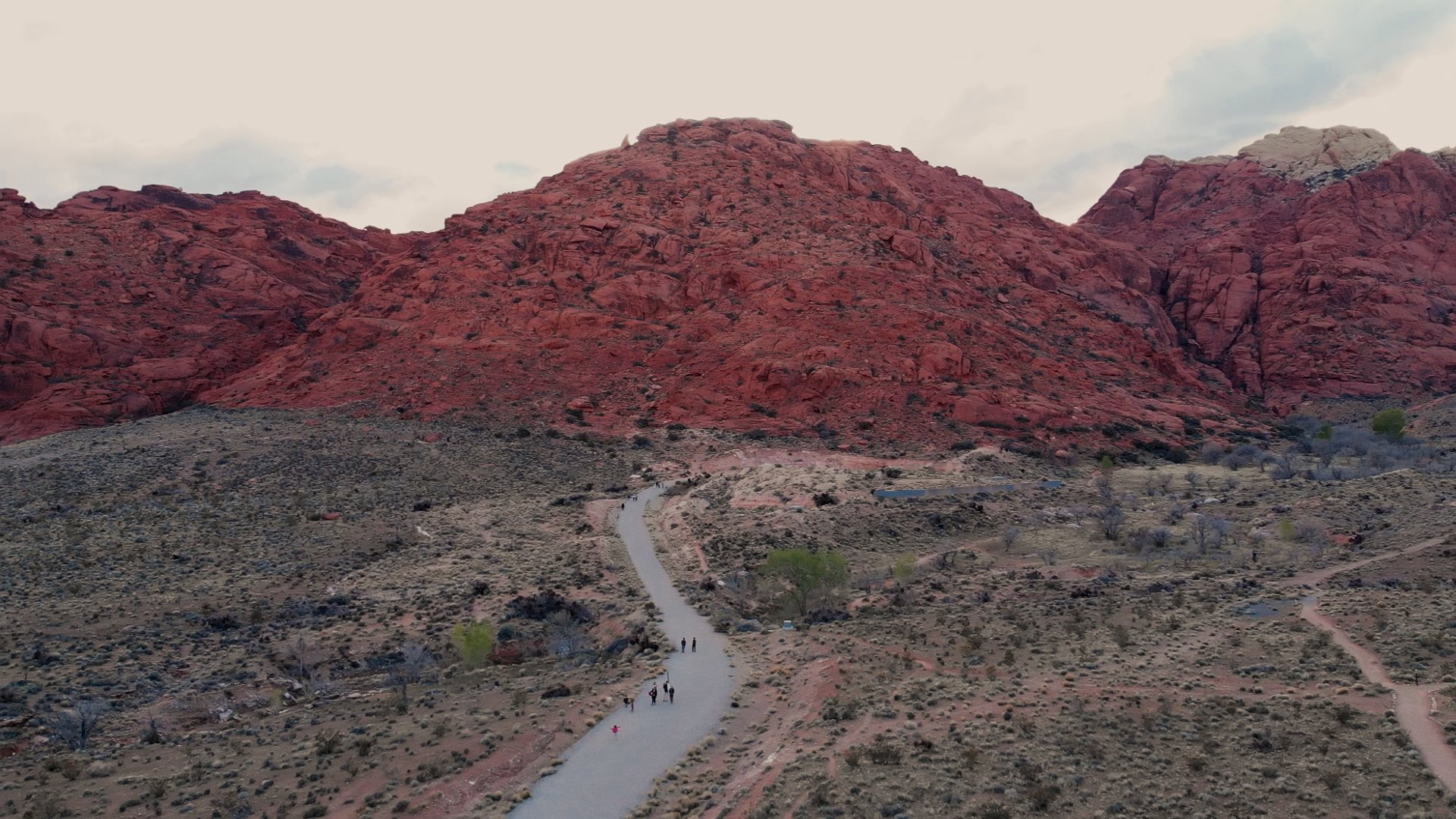 Summerlin Photography Competition - Summerlin